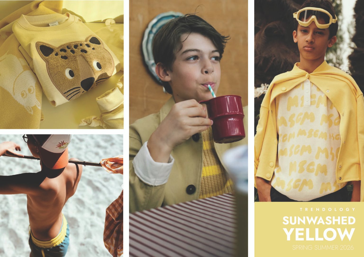 Trend Bites - Trendology